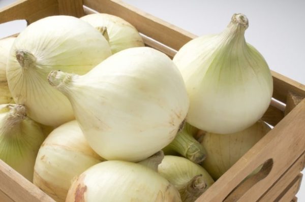 【ゲンキの時間】春野菜活用術「新玉ネギ」健康パワー＆レシピまとめ | 知っ得レシピ