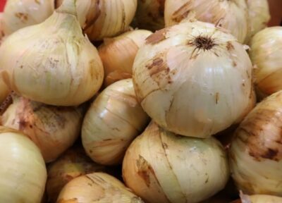 【よ～いドン】「すりおろし新たまのジュレマリネ」の作り方｜新玉ねぎのレシピ～ちゃちゃっとワンプレート | 知っ得レシピ