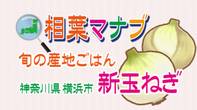 【相葉マナブ】旬の産地ごはん「新玉ねぎ」レシピまとめ（2023/6/18） | 知っ得レシピ